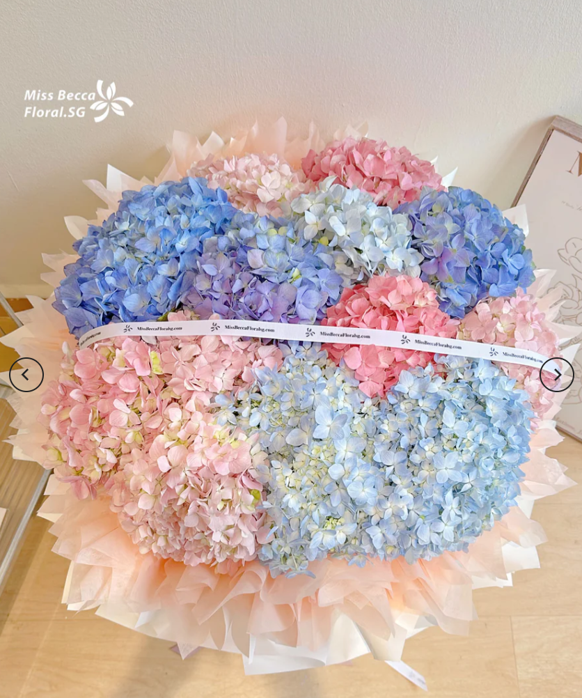 Hydrangea Flower: Meaning, Types & Arrangement Ideas – missbeccafloralsg